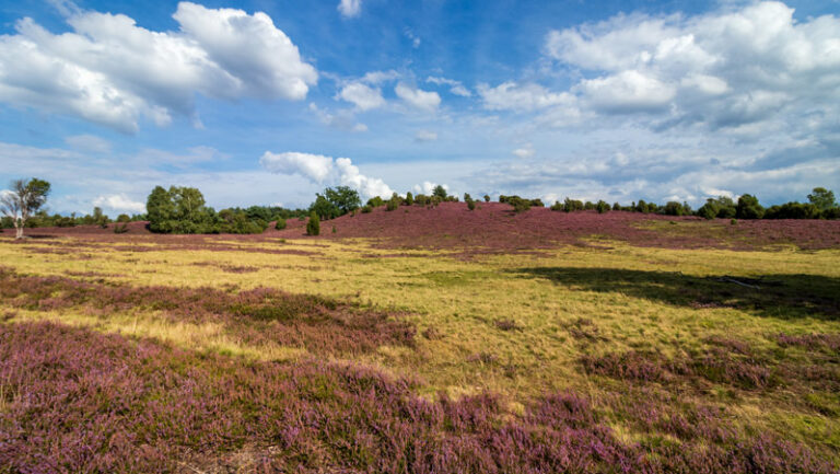 Courté Immobilien in Aachen